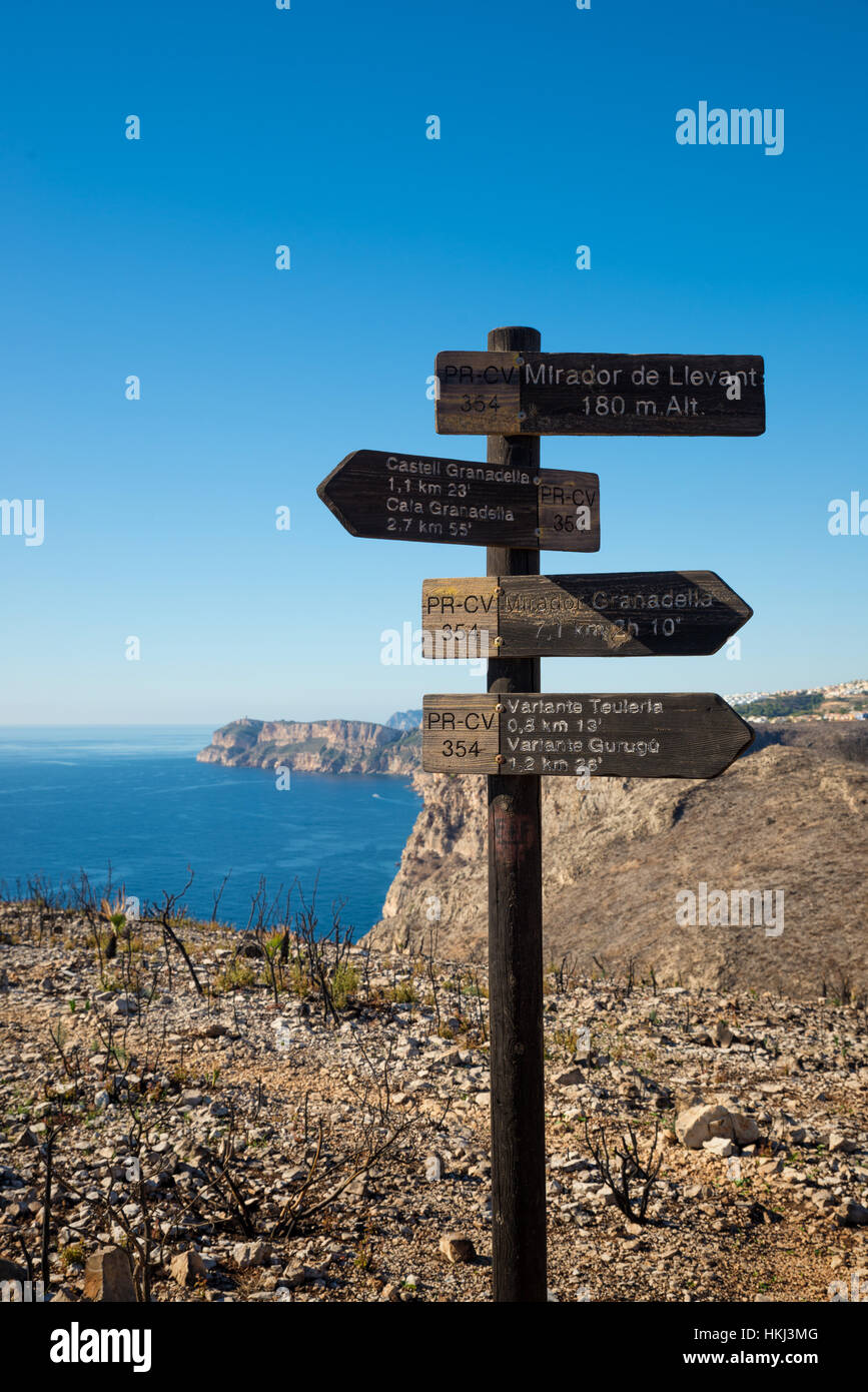 Aftermath of the devastating forest fire that destroyed a Mediterranean ...