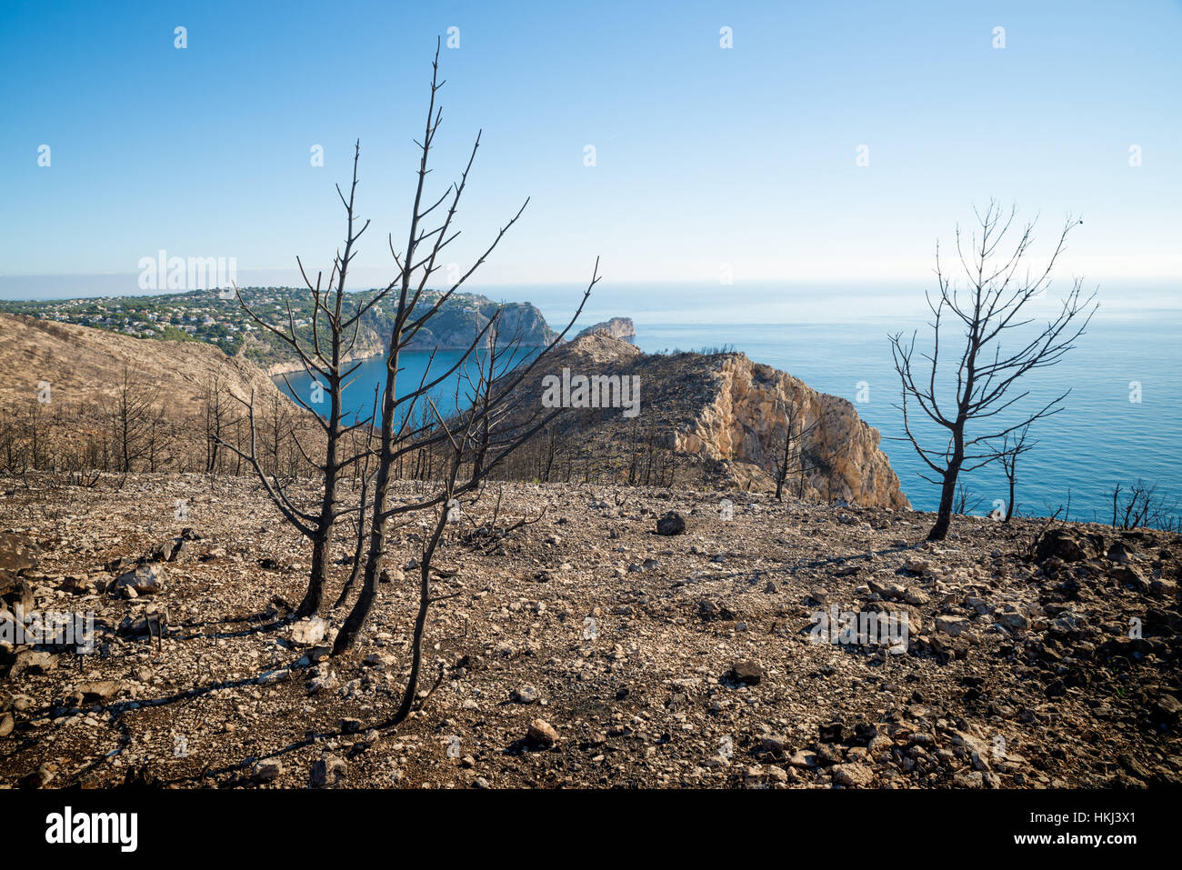 Aftermath of the devastating forest fire that destroyed a Mediterranean ...