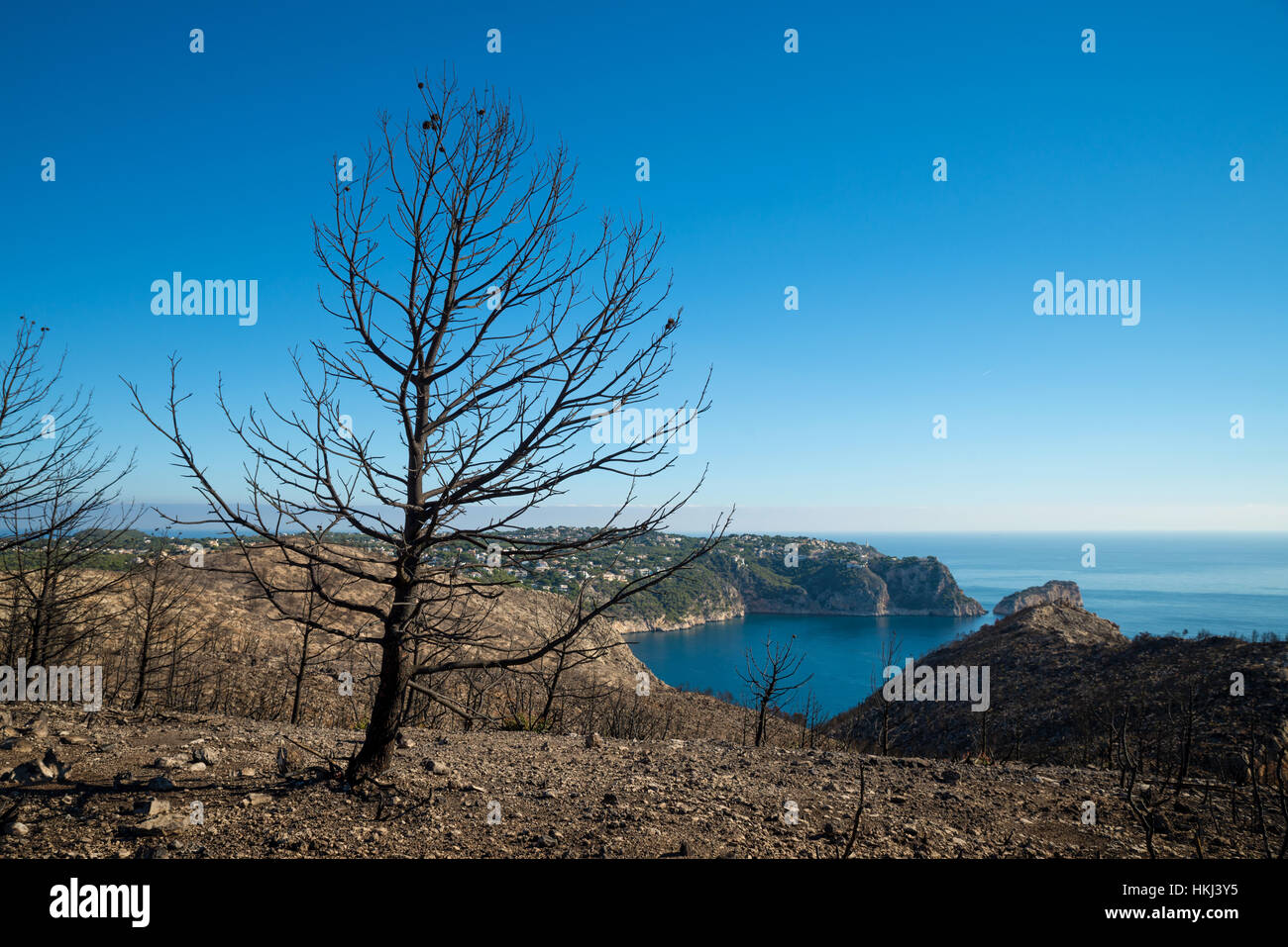 Aftermath of the devastating forest fire that destroyed a Mediterranean ...