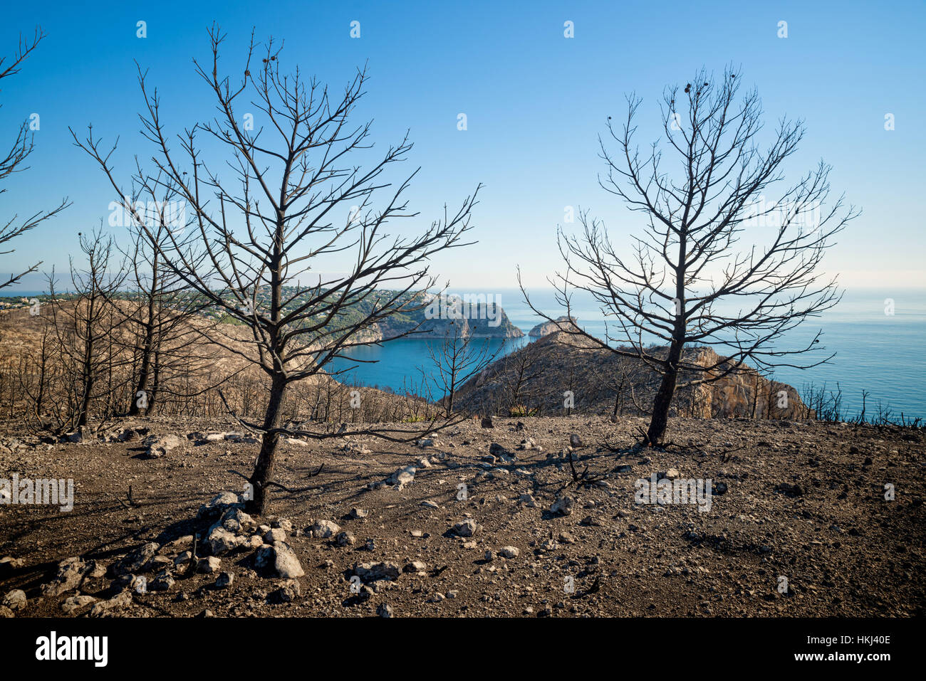 Aftermath of the devastating forest fire that destroyed a Mediterranean ...