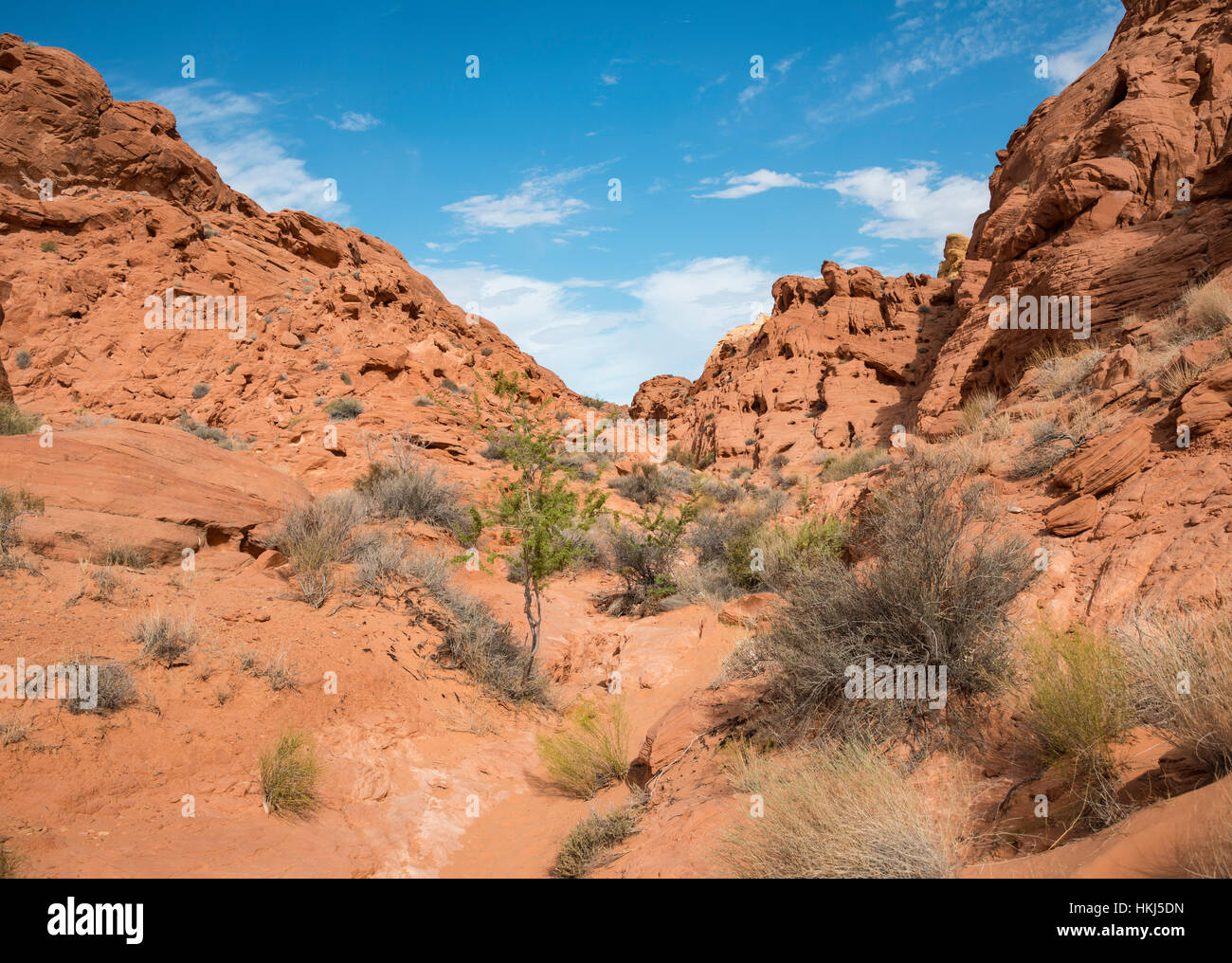 Red desert rocks hi-res stock photography and images - Alamy