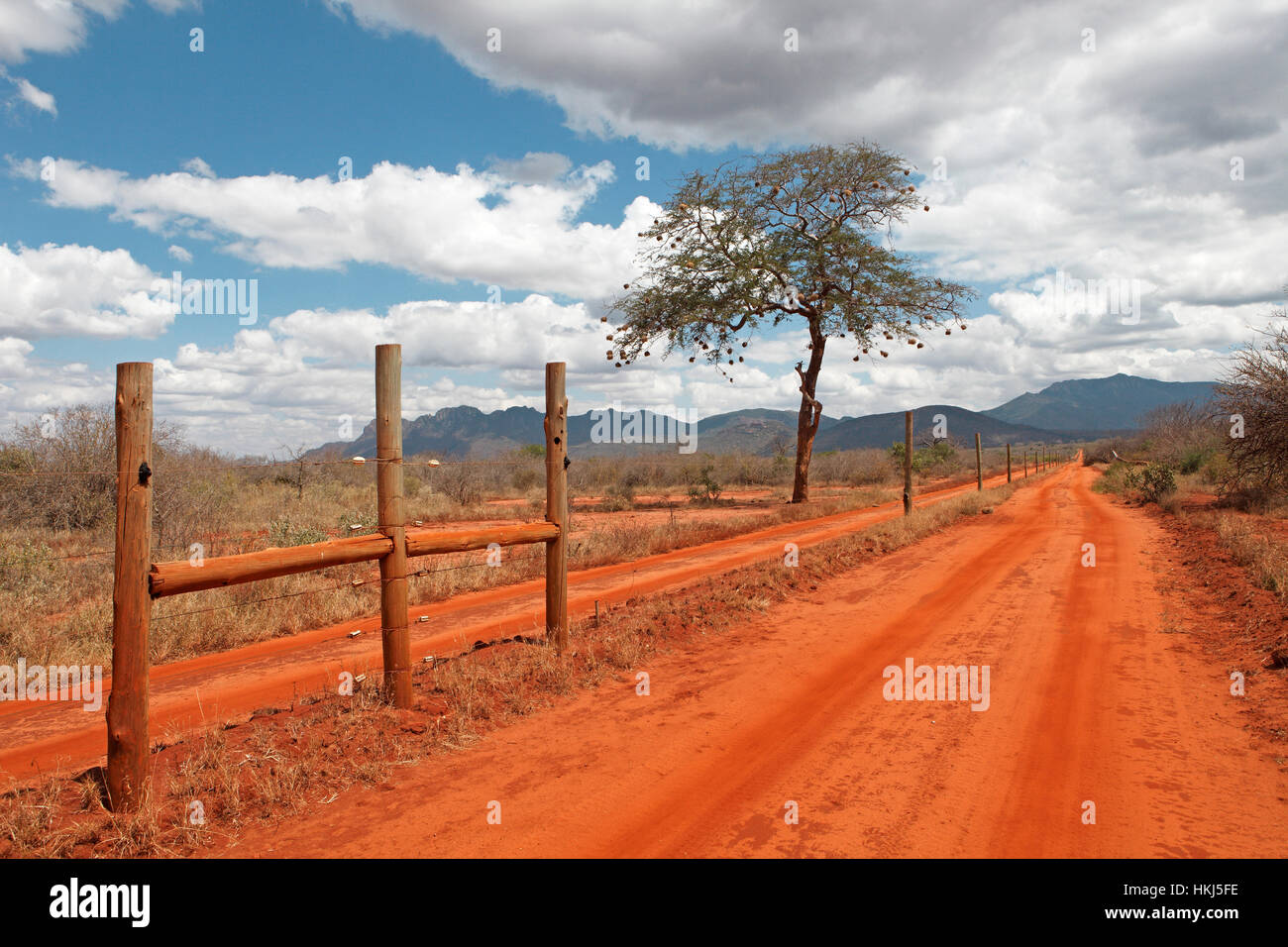 Electric fence of Rhino Sanctuary on red dirt road, tamarind ...