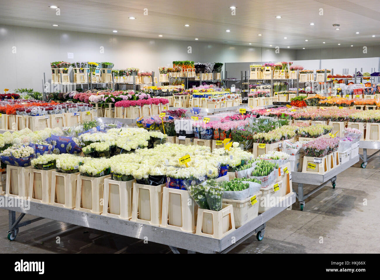 Big flower shop with many lights on the ceiling and baskets of various ...
