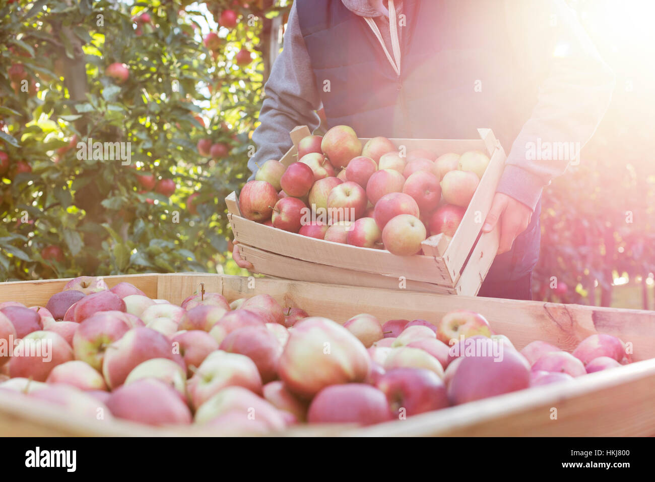 Bin emptying hi-res stock photography and images - Alamy