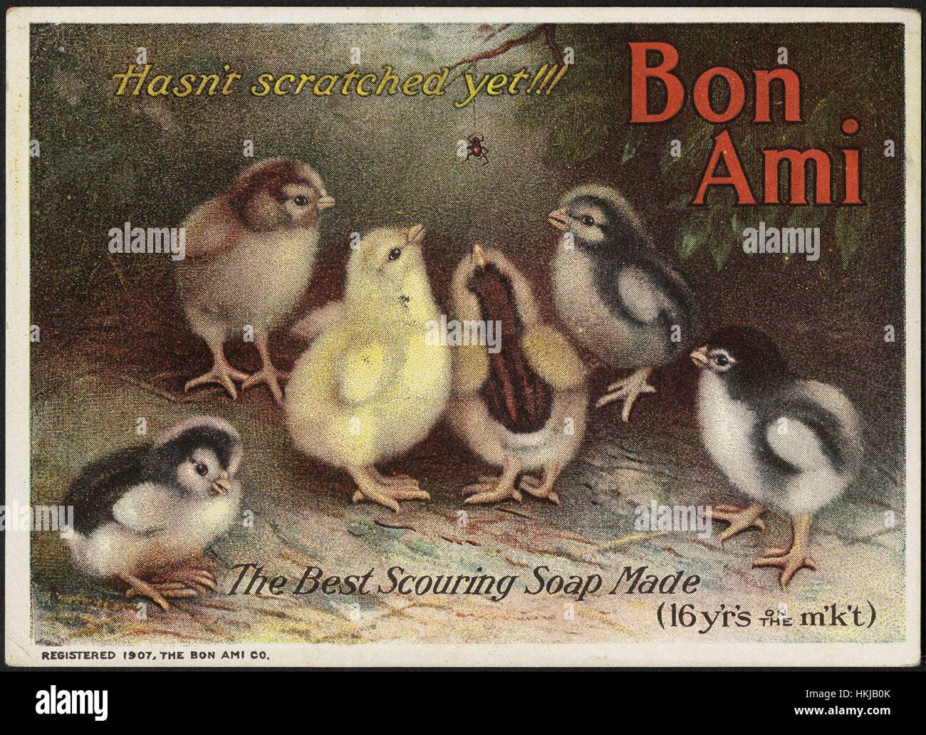 Hasn't scratched yet!!! Bon Ami, the best scouring soap made Stock ...