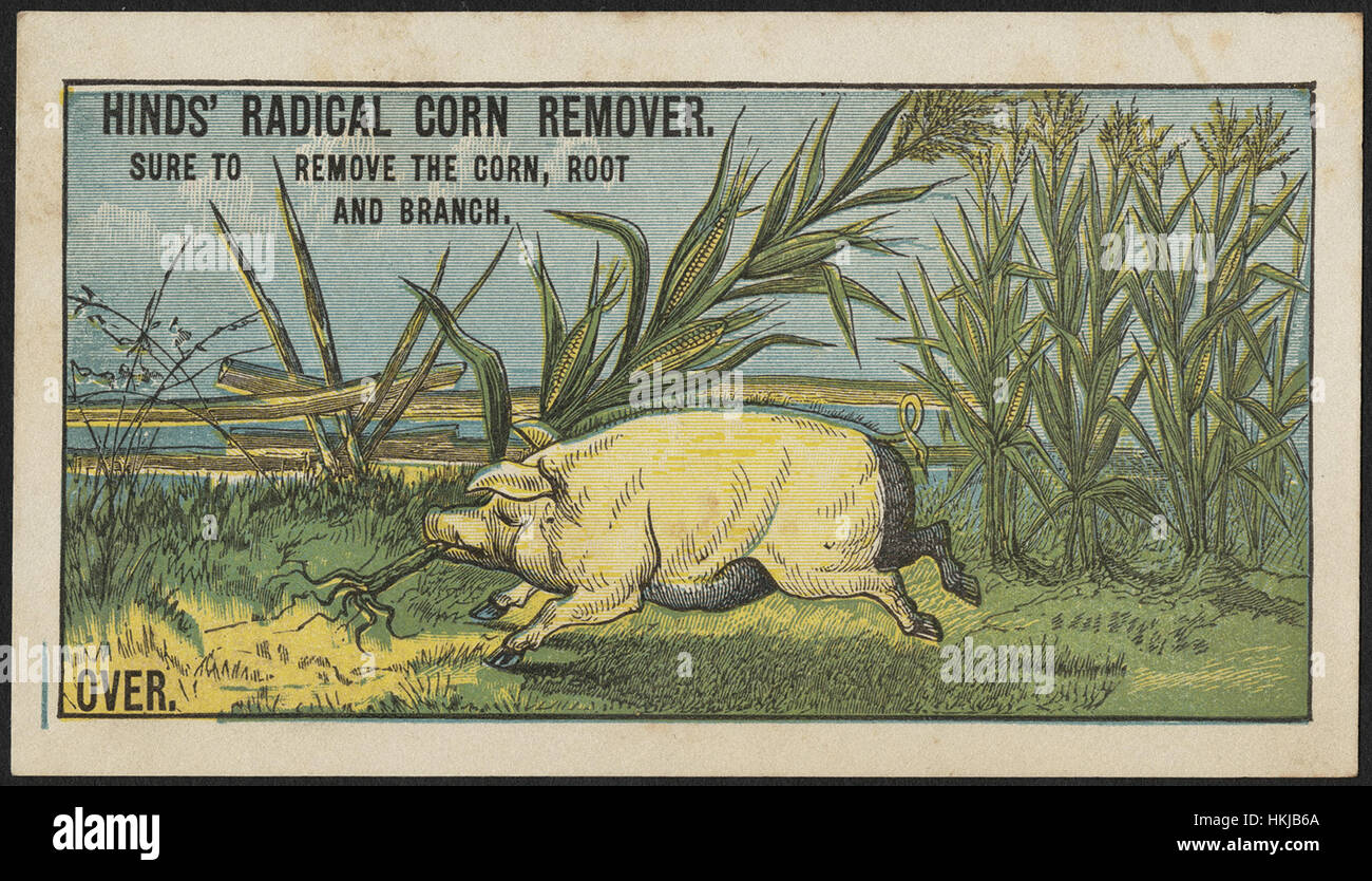 Hinds' Radical Corn remover. Sure to remedy the corn, root and branch ...