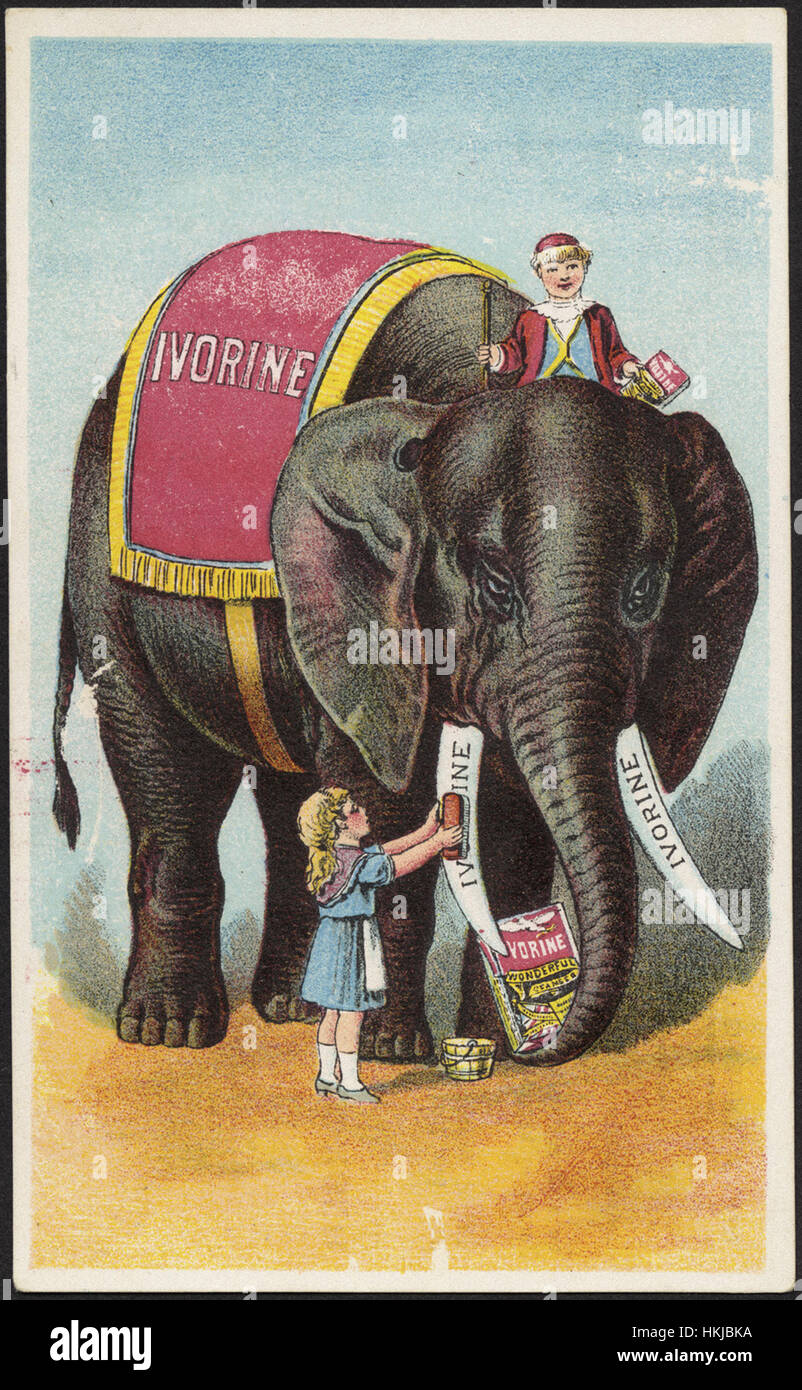Ivorine hi-res stock photography and images - Alamy