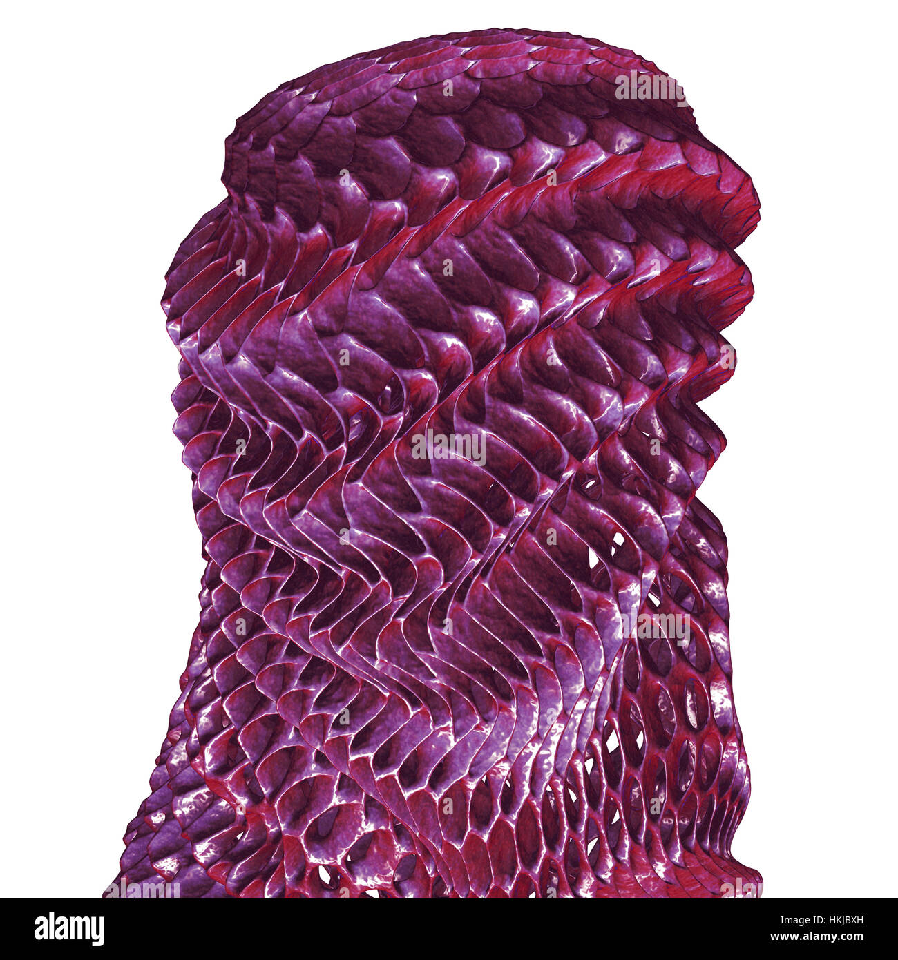 Nts white background hi-res stock photography and images - Alamy