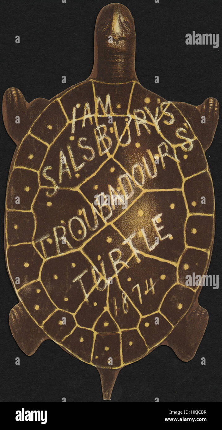 Theater turtle hi-res stock photography and images - Alamy