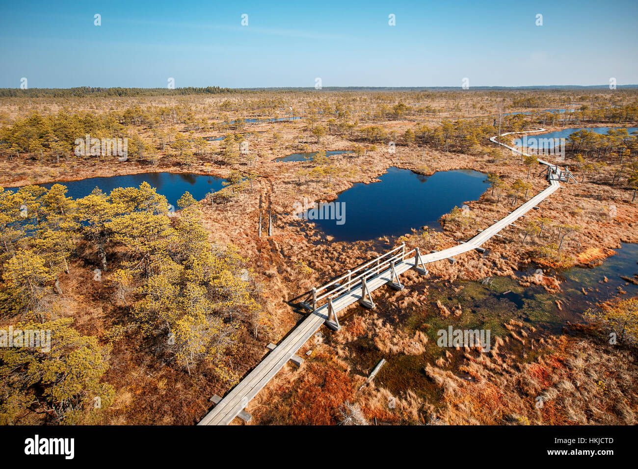 Big swamp wetlands Kemeri national park, Latvia Stock Photo - Alamy