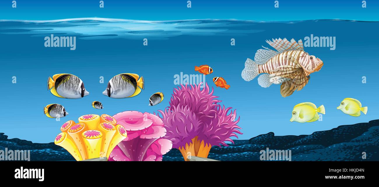 Underwater scene with fish and coral reef illustration Stock Vector ...