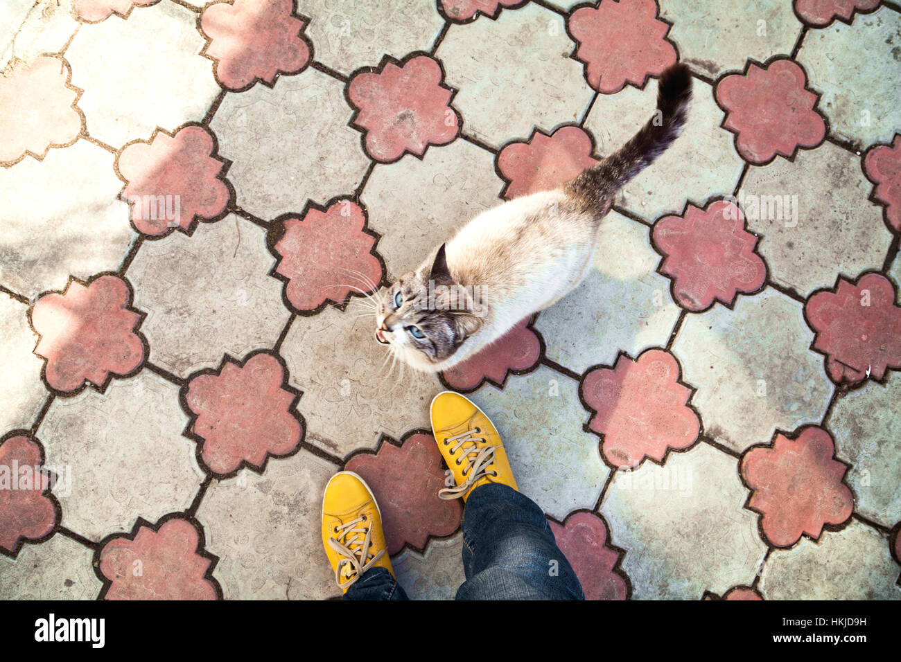 Upper view hi-res stock photography and images - Alamy