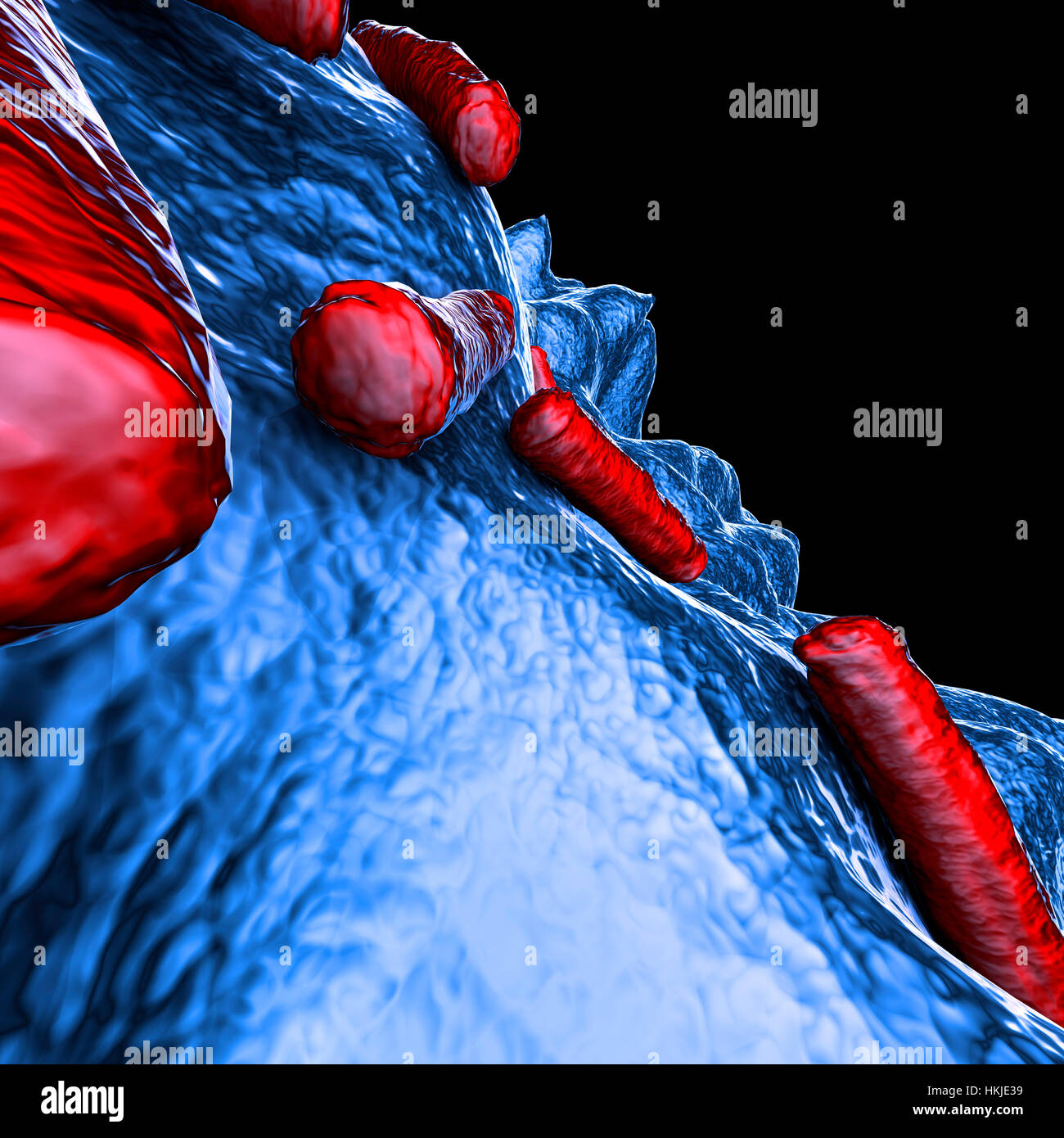 Shapes Of Bacteria High Resolution Stock Photography and Images - Alamy