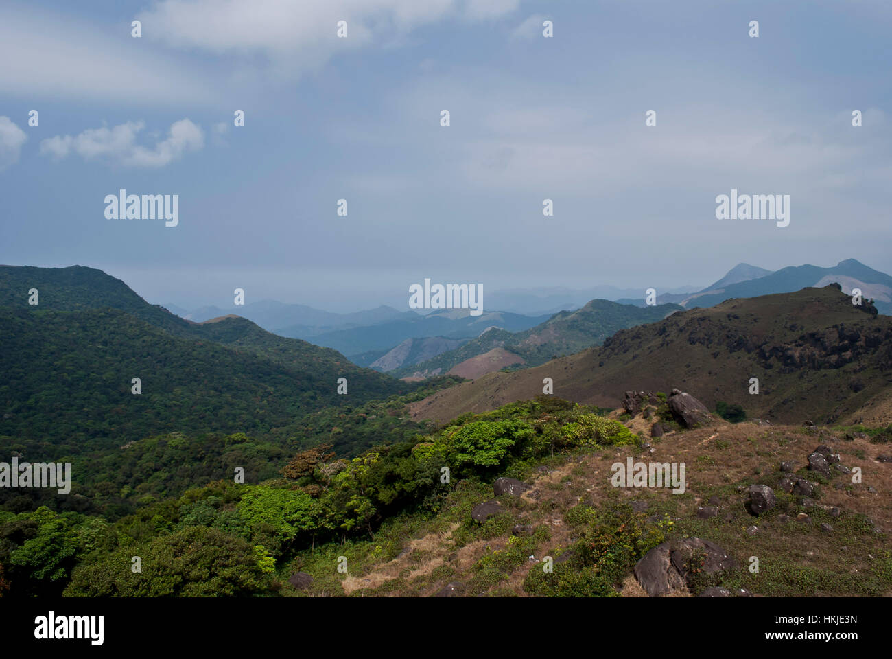 Highest peak of coorg hi-res stock photography and images - Alamy