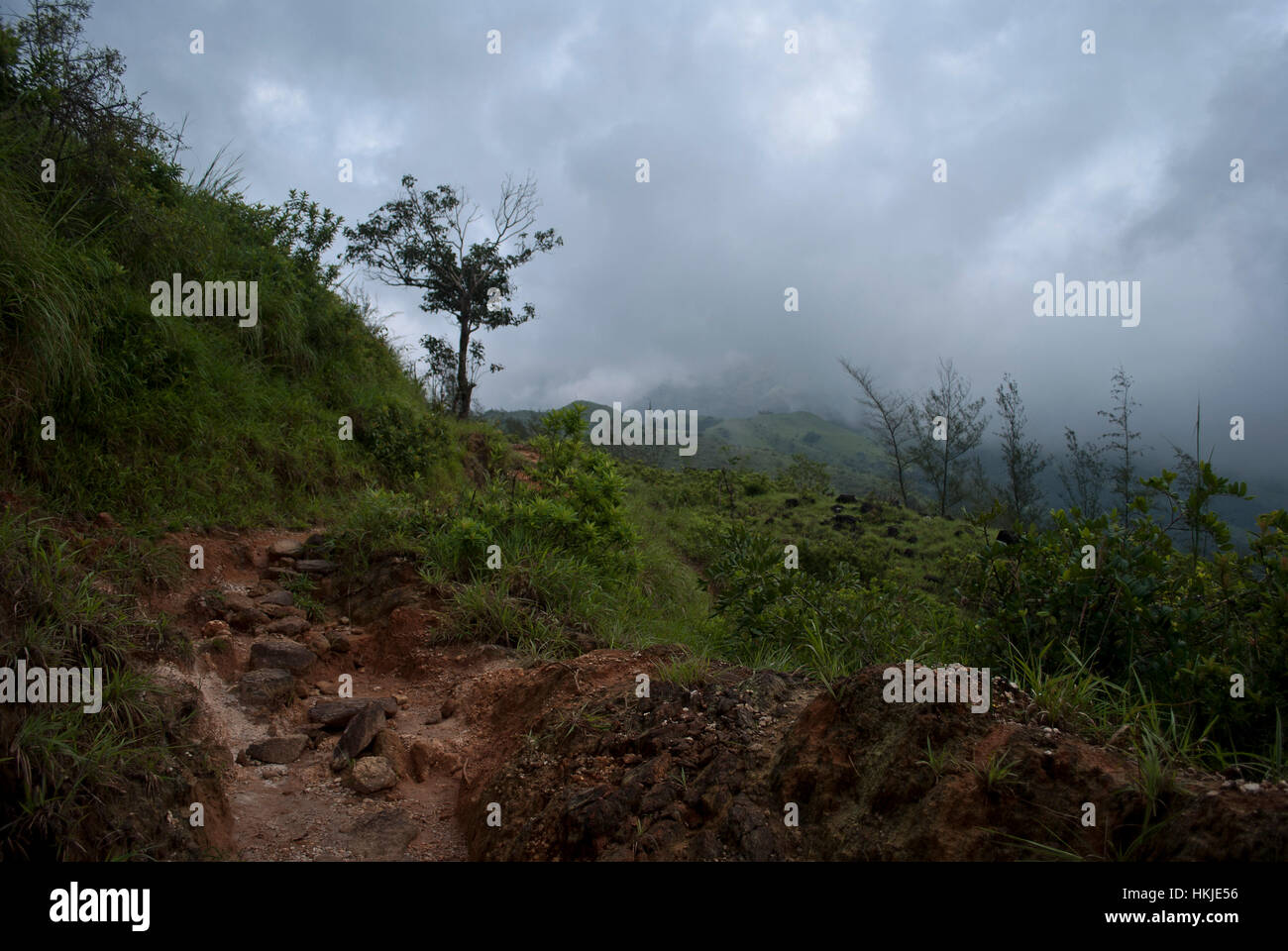 Western ghats valley hi-res stock photography and images - Alamy
