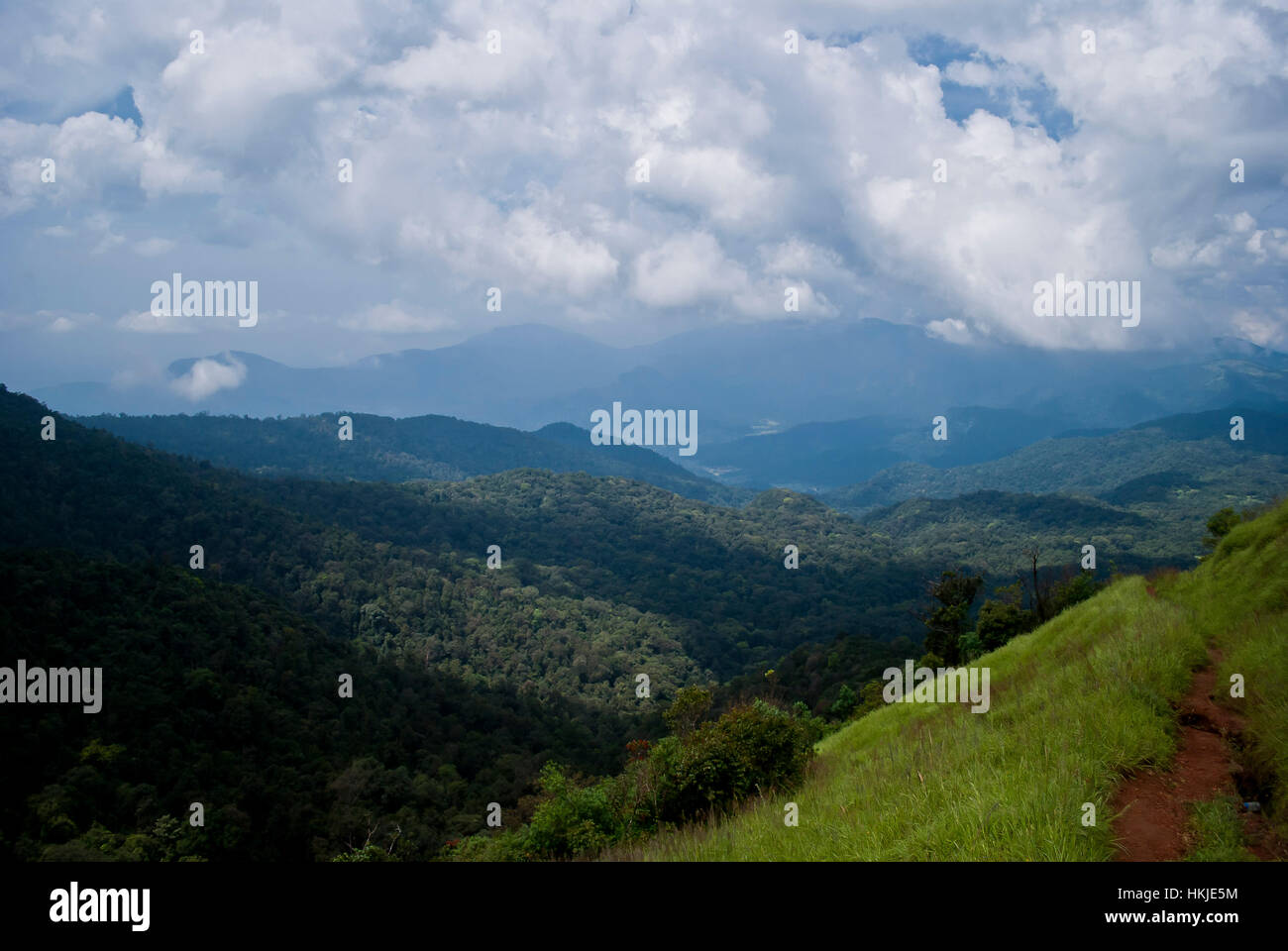 Kodachadri Karnataka Western Ghats India Stock Photo - Alamy