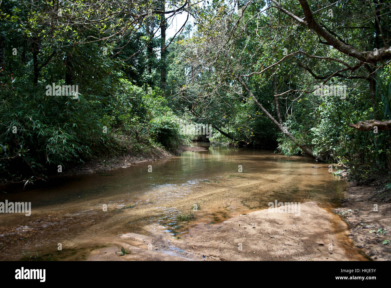 Walk in Agumbe Stock Photo - Alamy