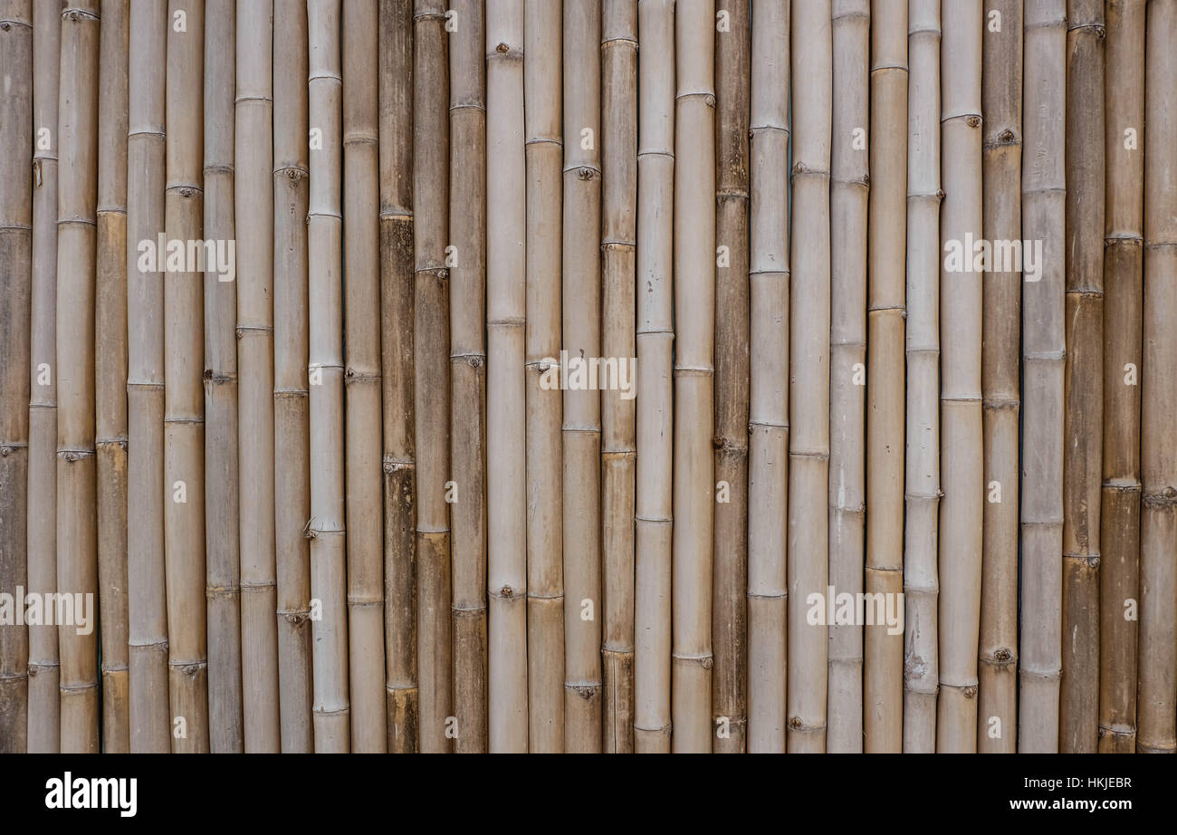 gray bamboo fence background Stock Photo - Alamy