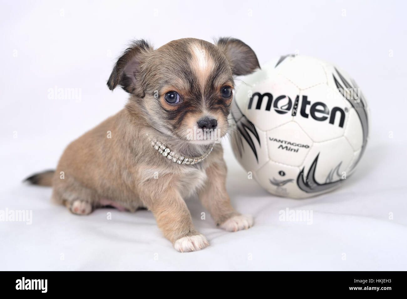 = Handsome Football Player | Красавчик-Футболист = Nickname: Viking ...