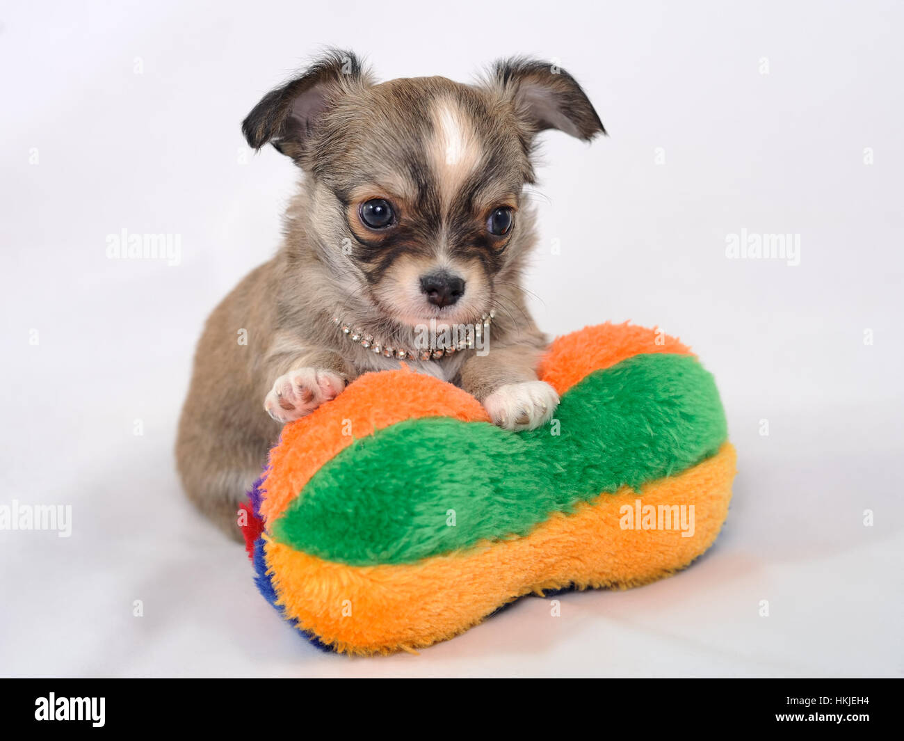 = My Toy | Моя Игрушка = Nickname: Viking | Викинг Gender: Boy ...