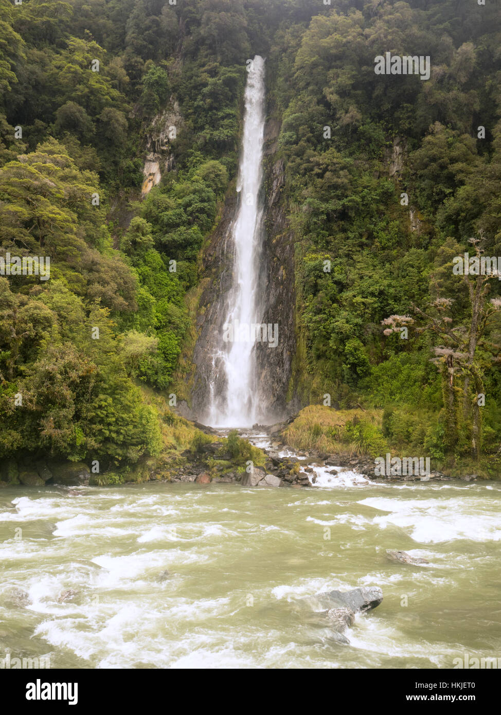 Thunder Ceek Waterfall, Haast Pass, South Island, New Zealand Stock ...