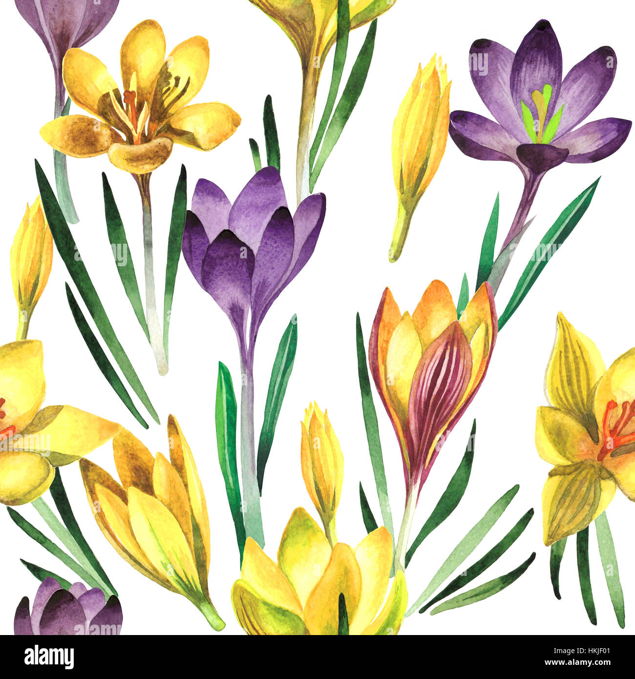 Wildflower crocuses flower pattern in a watercolor style isolated Stock ...