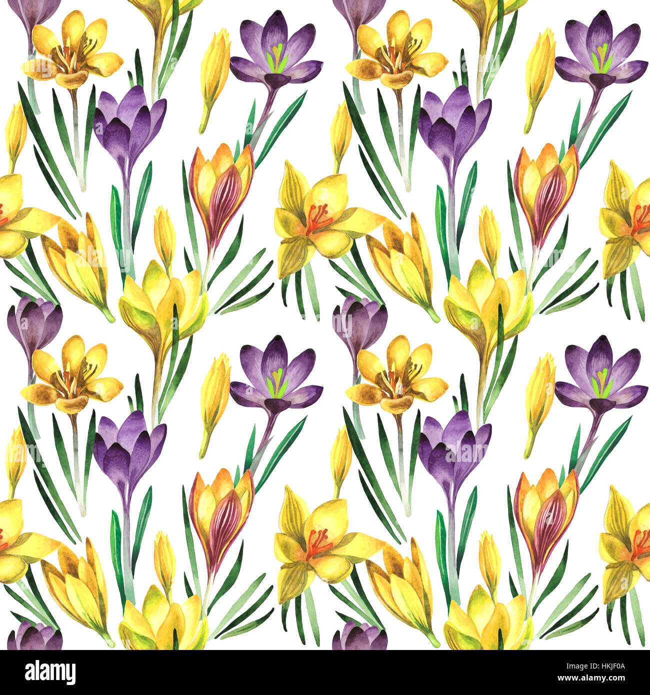 Wildflower crocuses flower pattern in a watercolor style isolated Stock ...