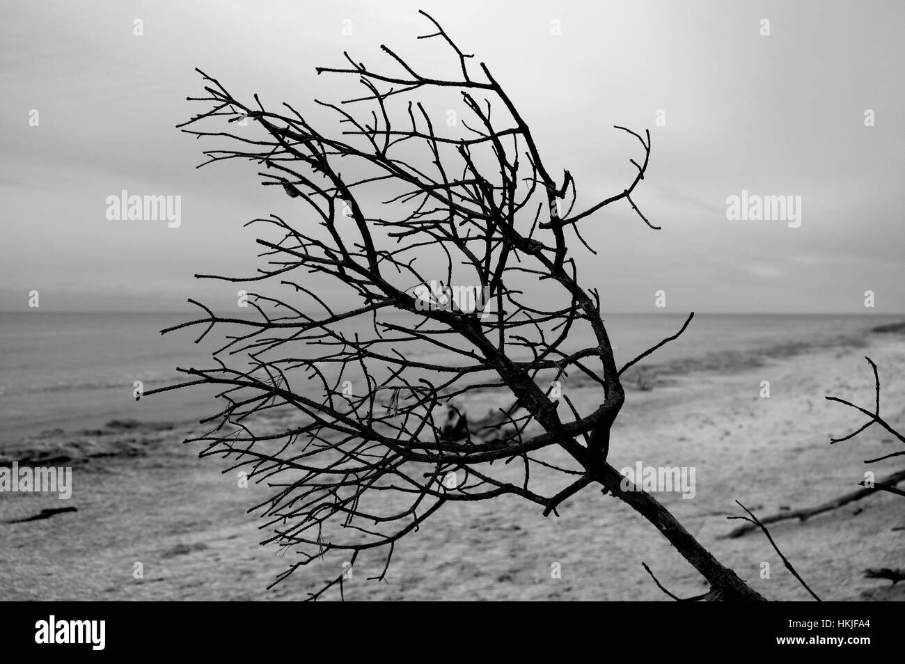 Beach, Seashore, Sea side, Strand, Seaboard, Sea, Ocean, Wild, Nature ...