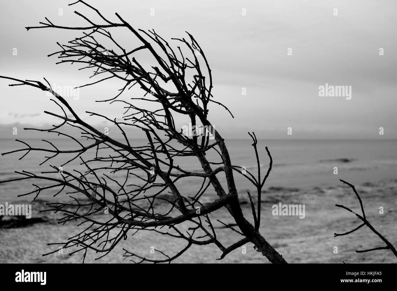 Beach, Seashore, Sea side, Strand, Seaboard, Sea, Ocean, Wild, Nature ...