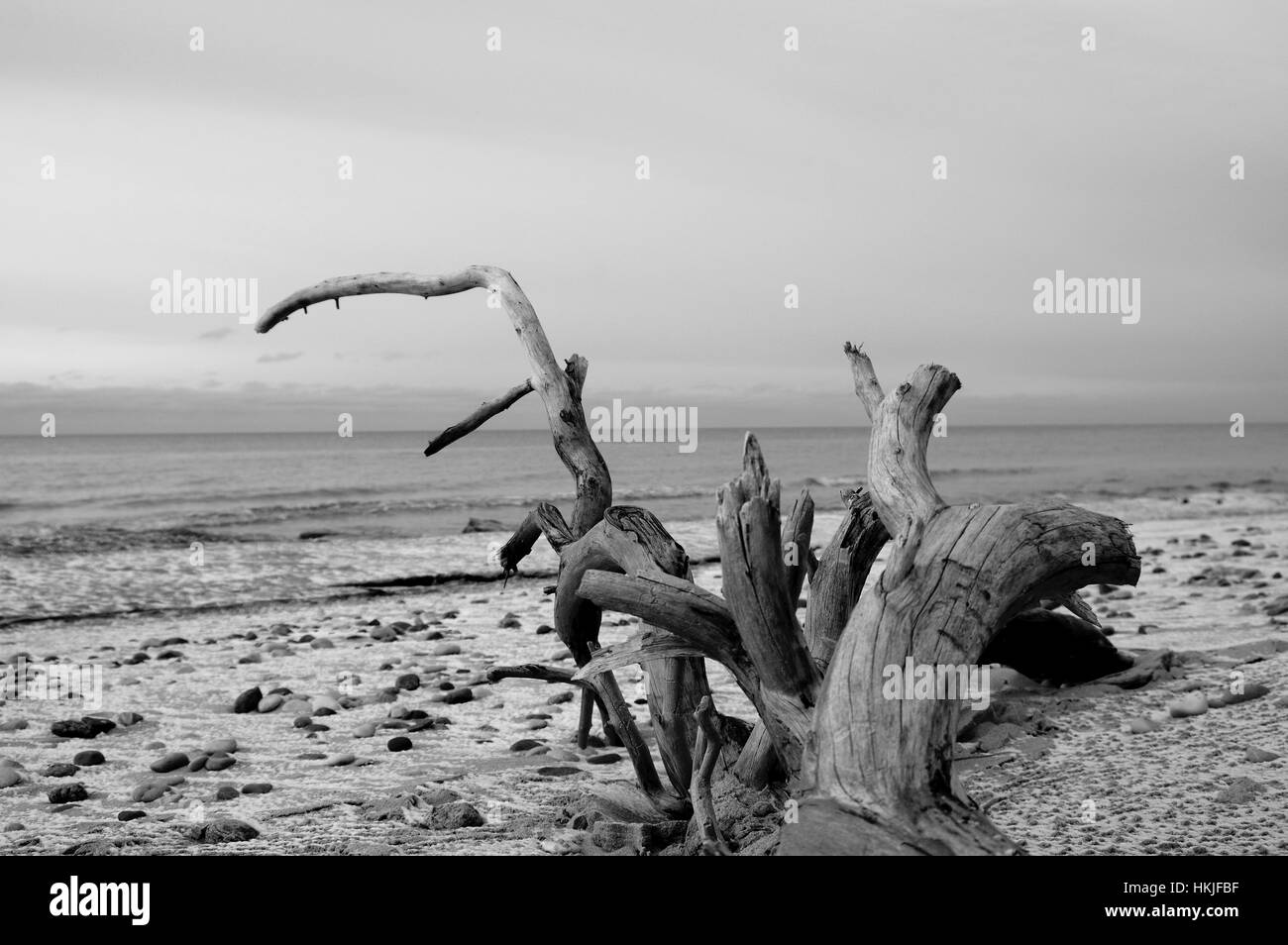 Beach, Seashore, Sea side, Strand, Seaboard, Sea, Ocean, Wild, Nature ...