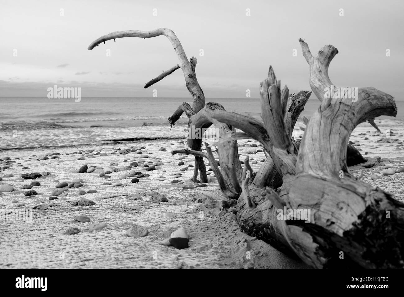 Beach, Seashore, Sea side, Strand, Seaboard, Sea, Ocean, Wild, Nature ...