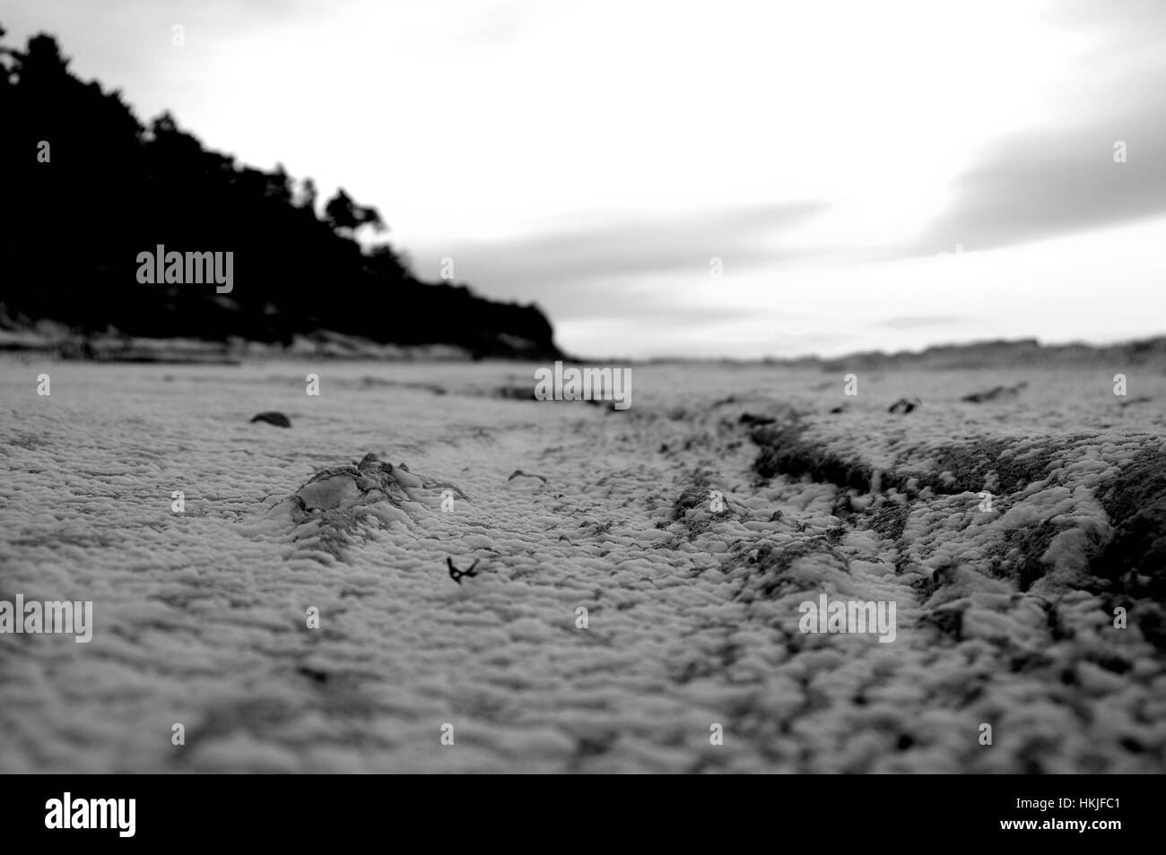 Beach, Seashore, Sea side, Strand, Seaboard, Sea, Ocean, Wild, Nature ...