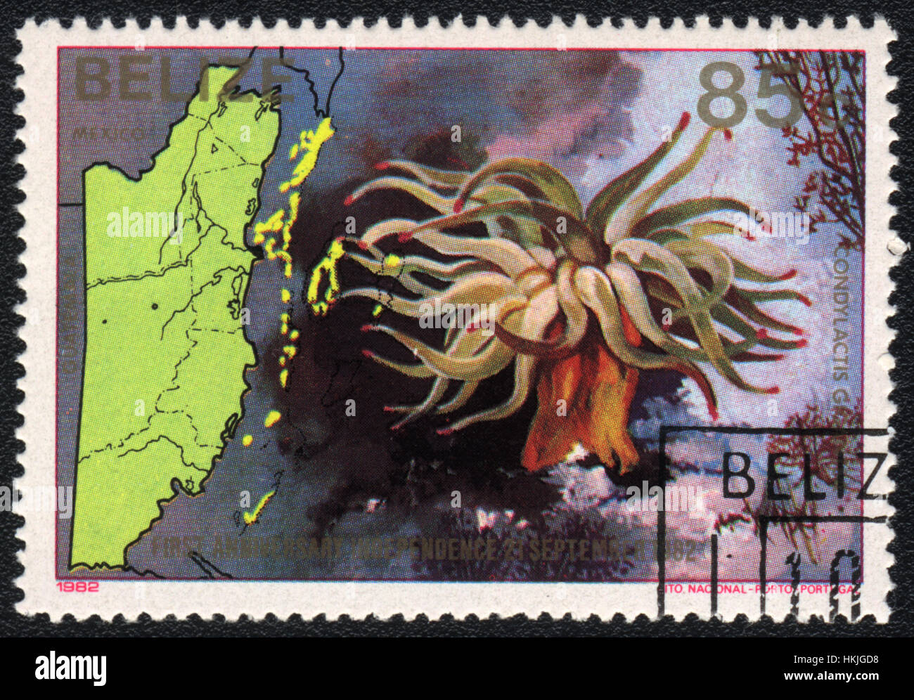 A postage stamp printed in Belize shows a Condylactis gigantea , series ...