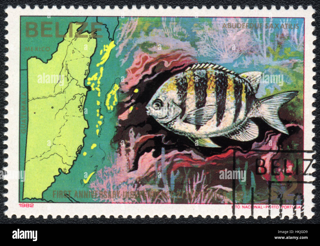 A postage stamp printed in Belize shows a Sergeant major (Abudefduf ...