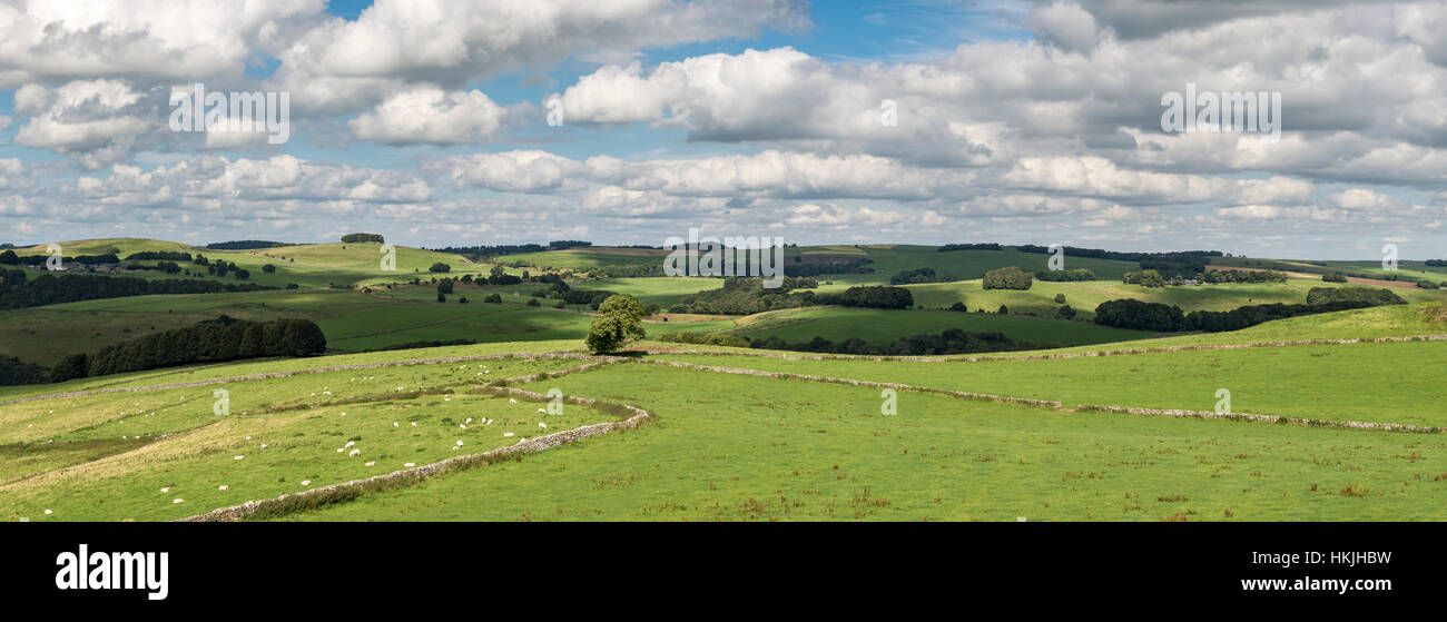 Panorama of lush green fields in the English countryside in summer ...