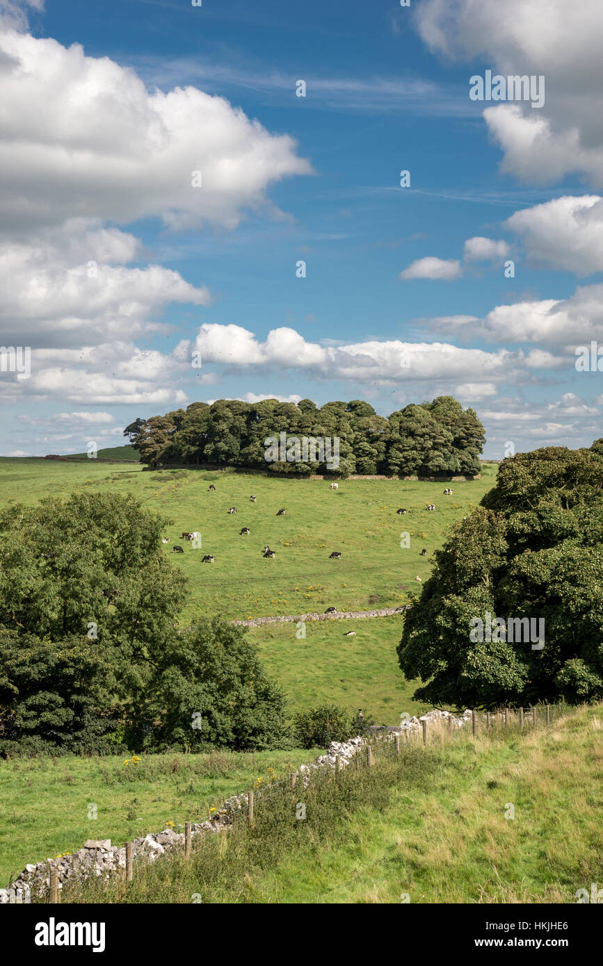 English countryside in summer hi-res stock photography and images - Alamy