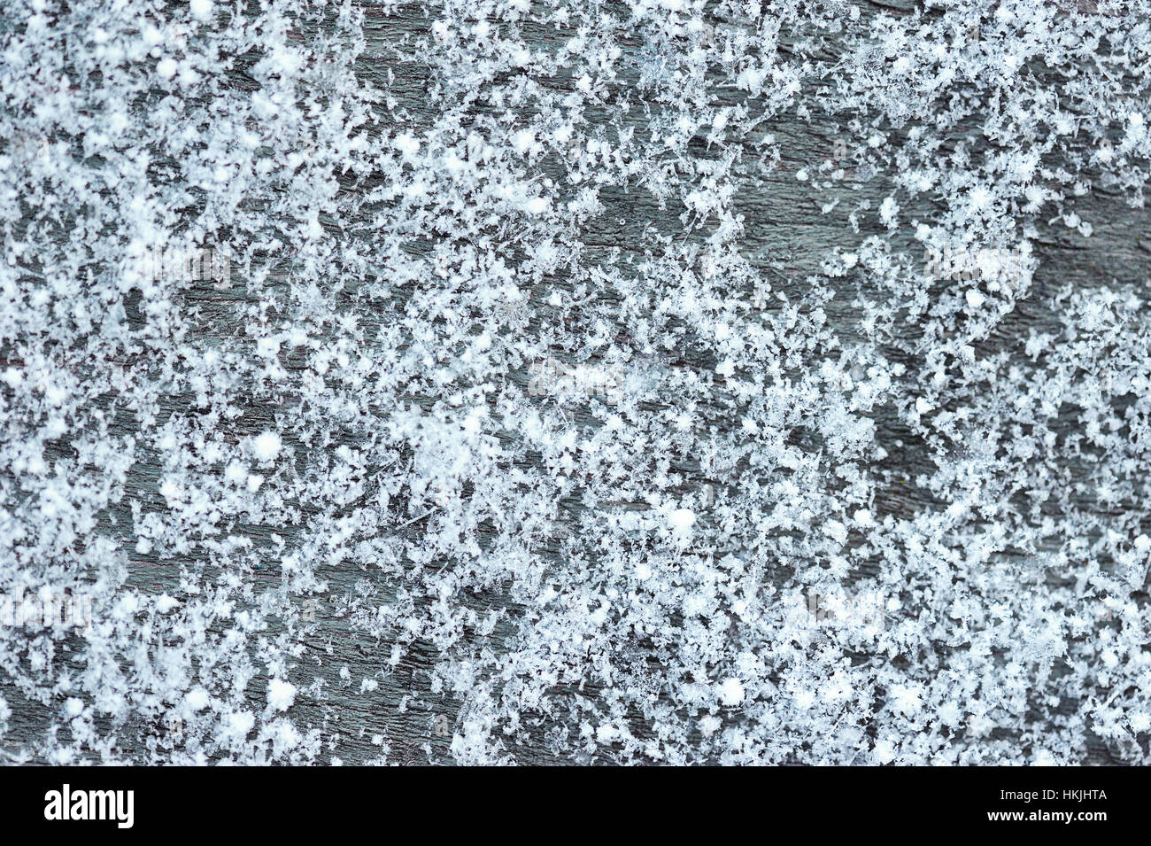 Gray winter card hi-res stock photography and images - Alamy