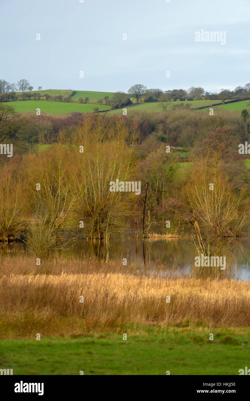 Llangors lake hi-res stock photography and images - Alamy