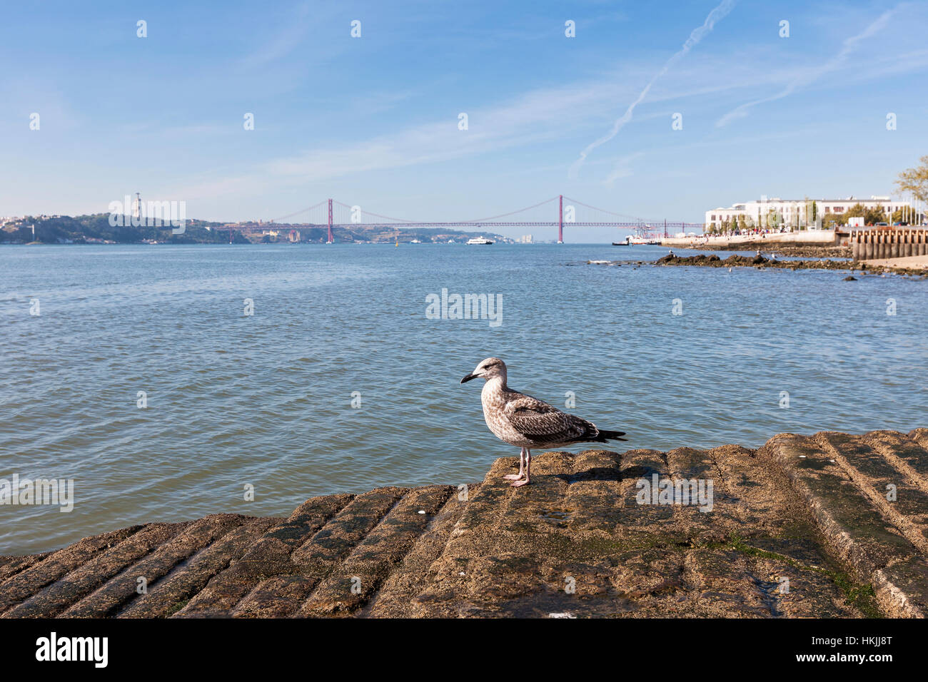 Bridge across river, April 25th Bridge, River Tagus, Lisbon, Portugal ...