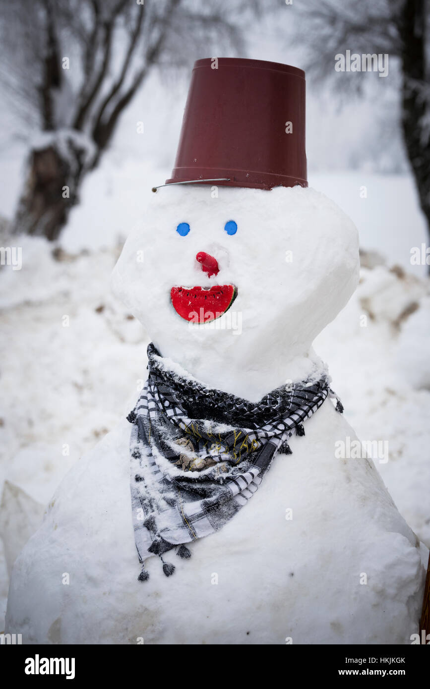 Snowman with blue eyes, watermelon mouth and a bucket hat Stock Photo ...
