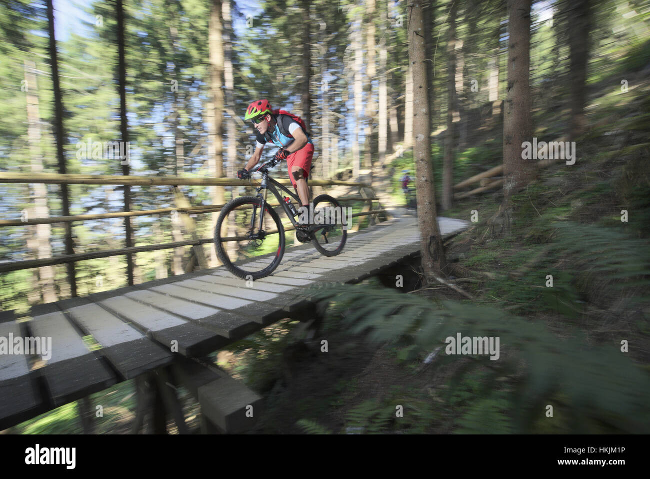 Mountain biker riding on footbridge through forest, Zillertal, Tyrol ...