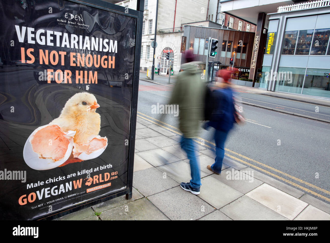 Vegetarianism campaign in Manchester, Piccadillly, UK. Go Vegan posters ...