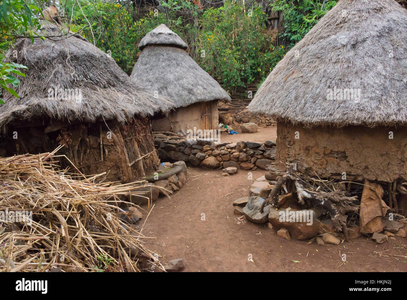 Konso Cultural Landscape (UNESCO World Heritage site), village houses ...