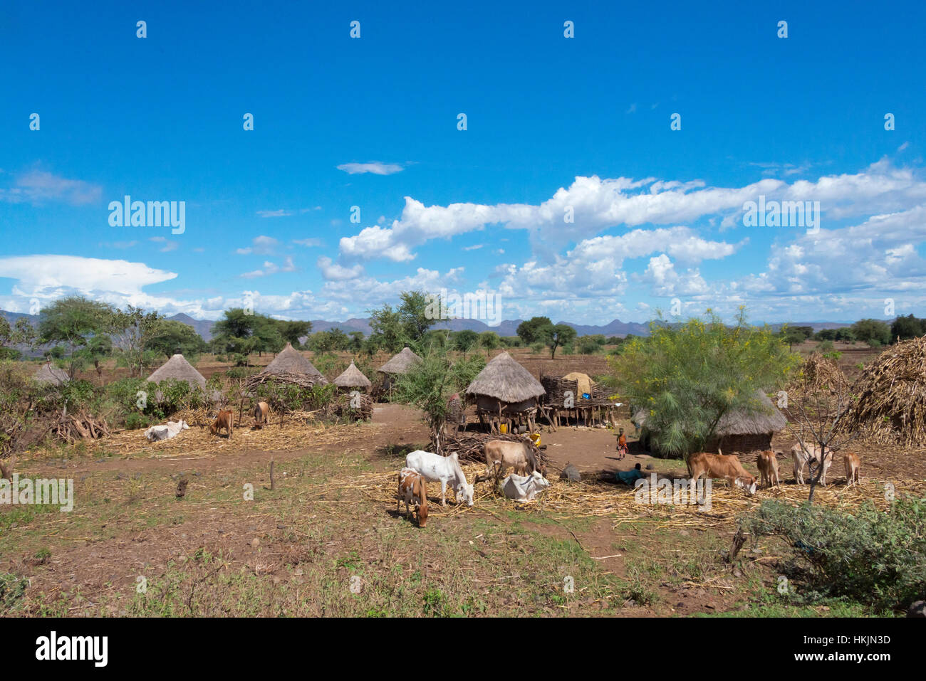 Africa building houses hi-res stock photography and images - Alamy