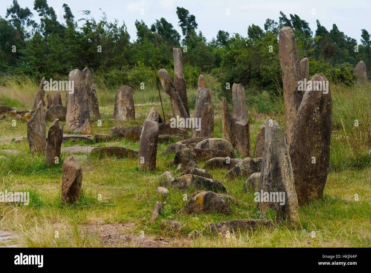 Tiya, an archaeological site of carved stelae, UNESCO World Heritage site, Ethiopia Stock Photo ...