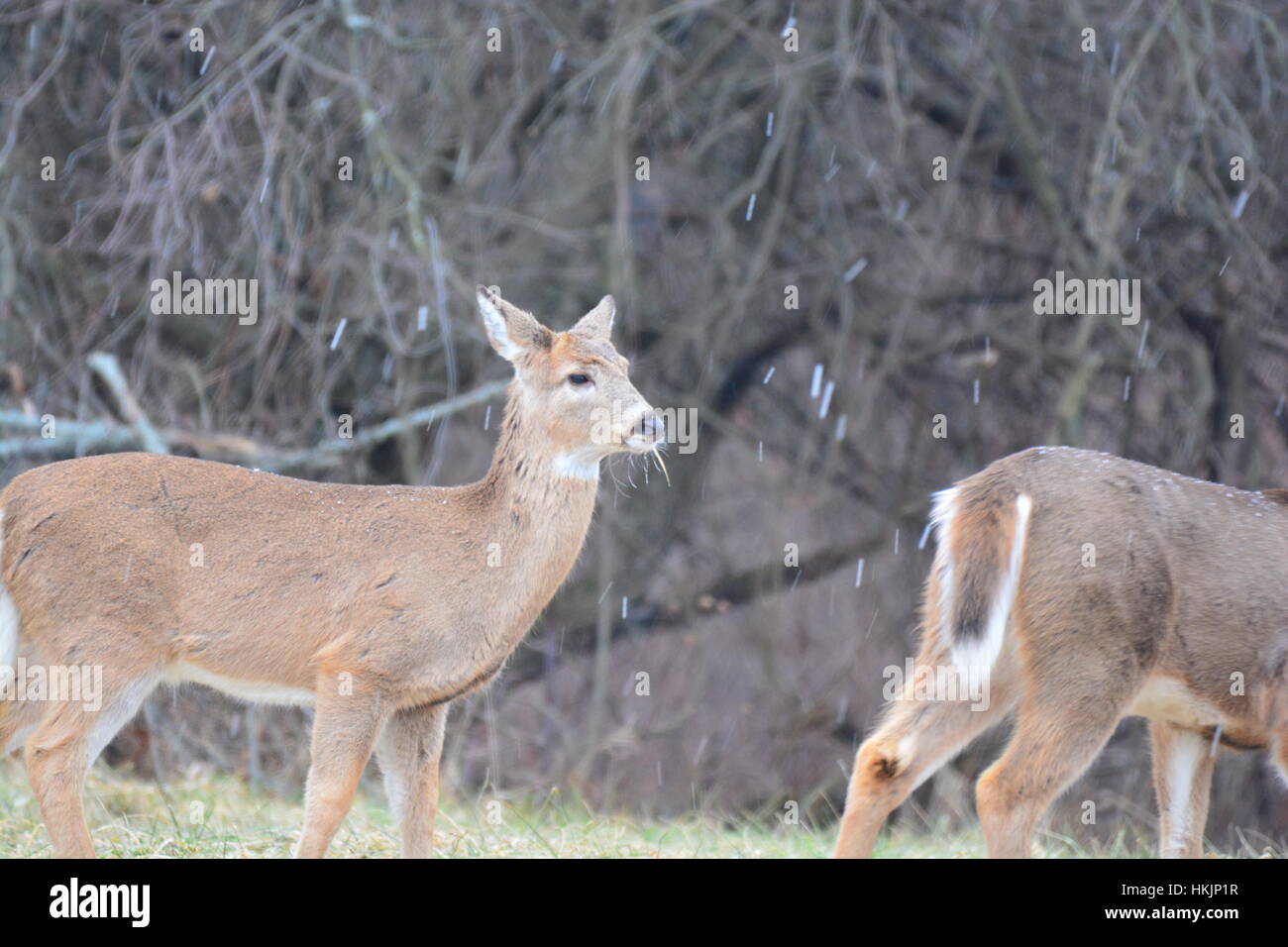 we see You Stock Photo - Alamy