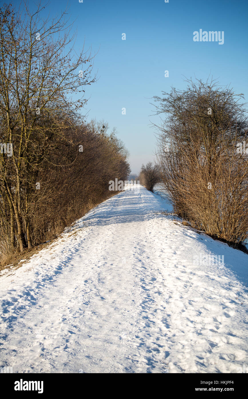 Snow covered path in a forest Stock Photo - Alamy