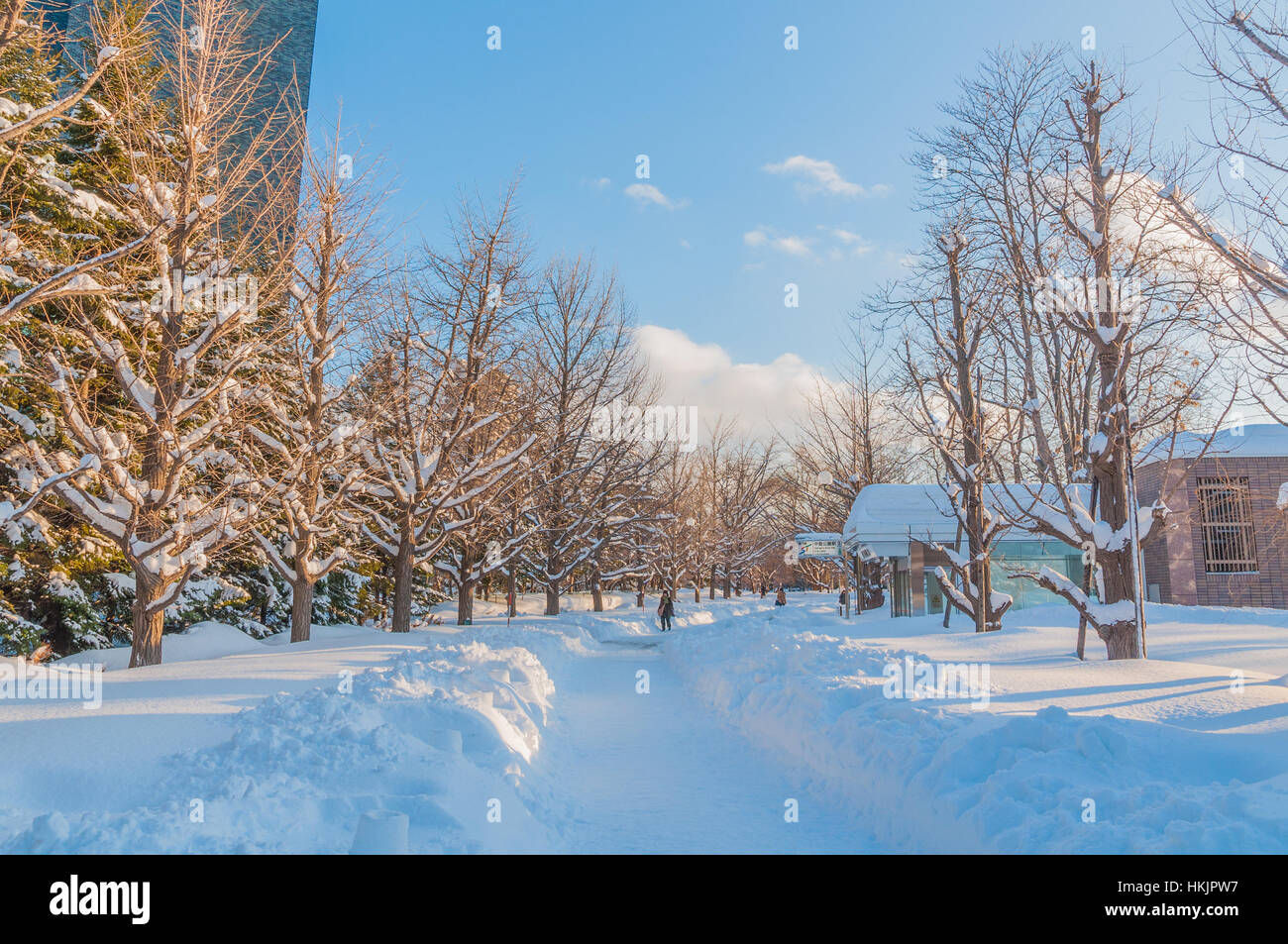 The next day the heavy snow fell, the town area of Sapporo city ...