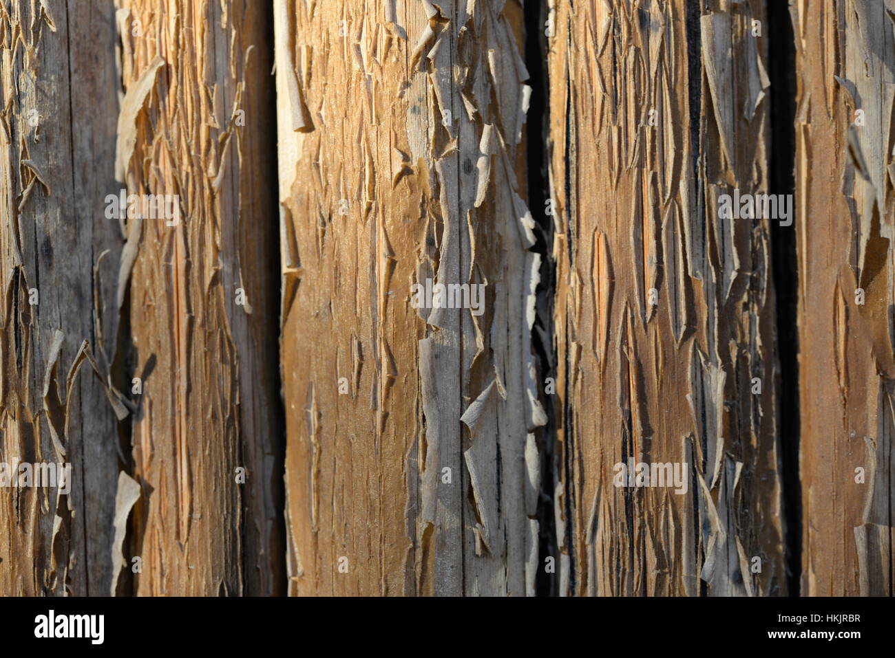 Weathered Split Bamboo Wall, close up Stock Photo - Alamy