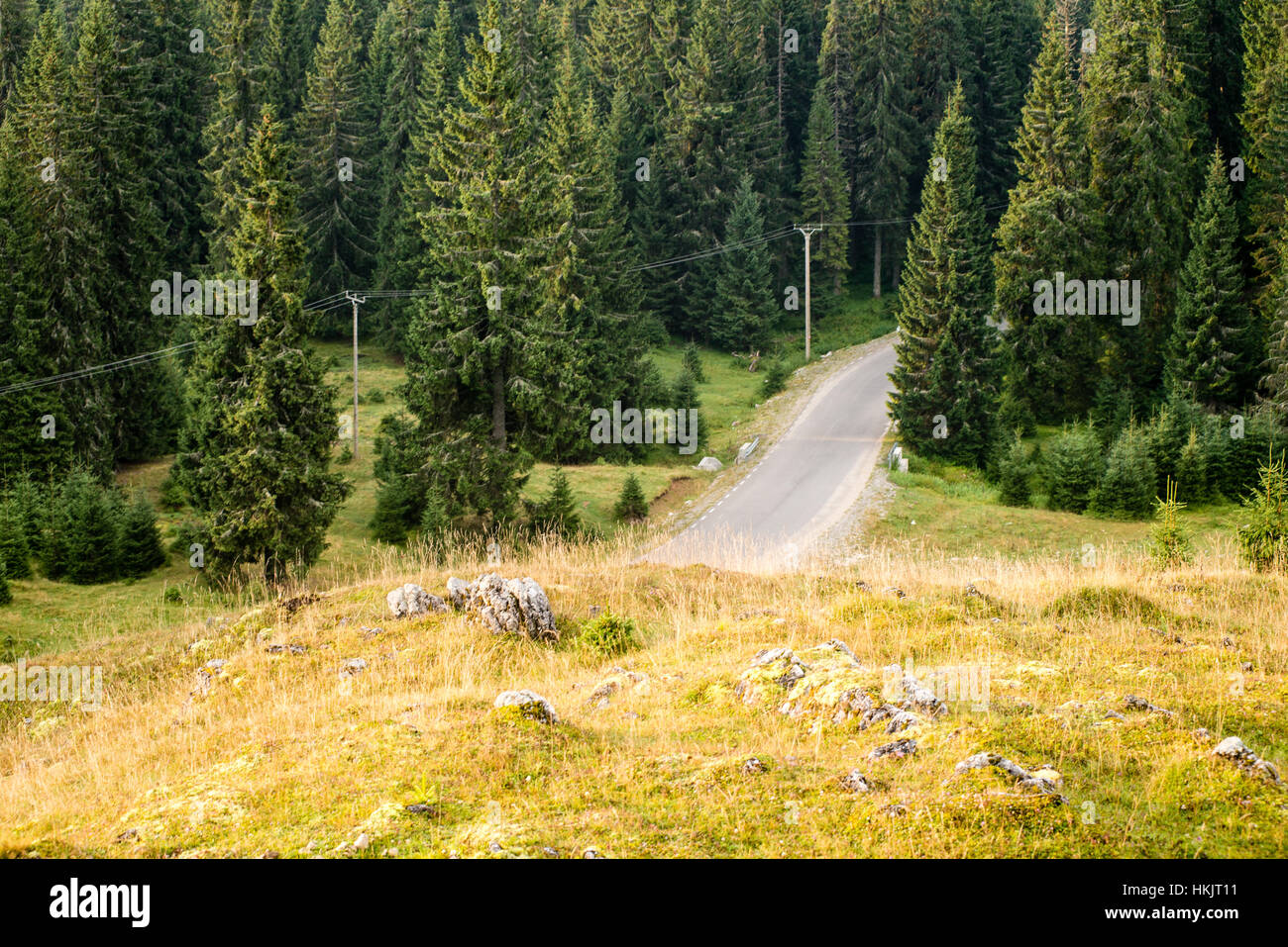 Winding country Road with clouds above and dry tarmac Stock Photo - Alamy